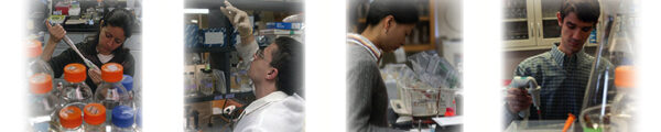 M.S. in Microbiology | Microbiology Graduate Program